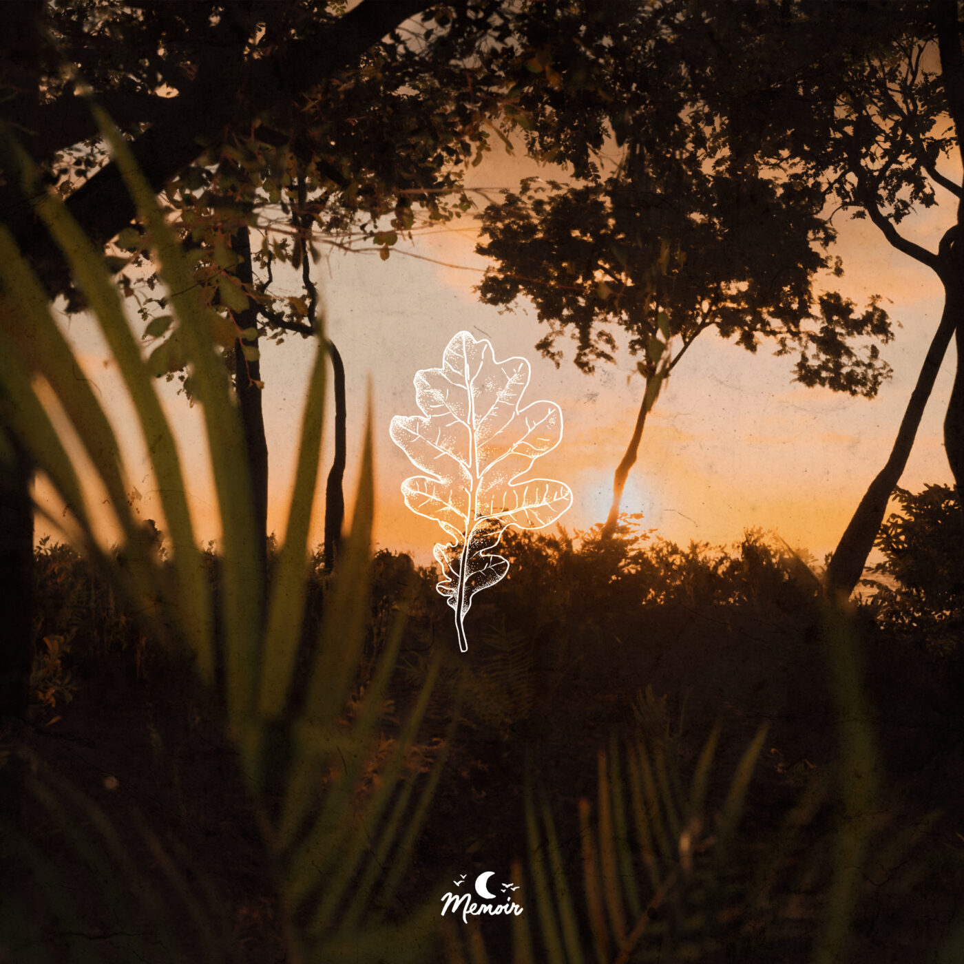 Ochre - Peter Bark - Chillhop Music